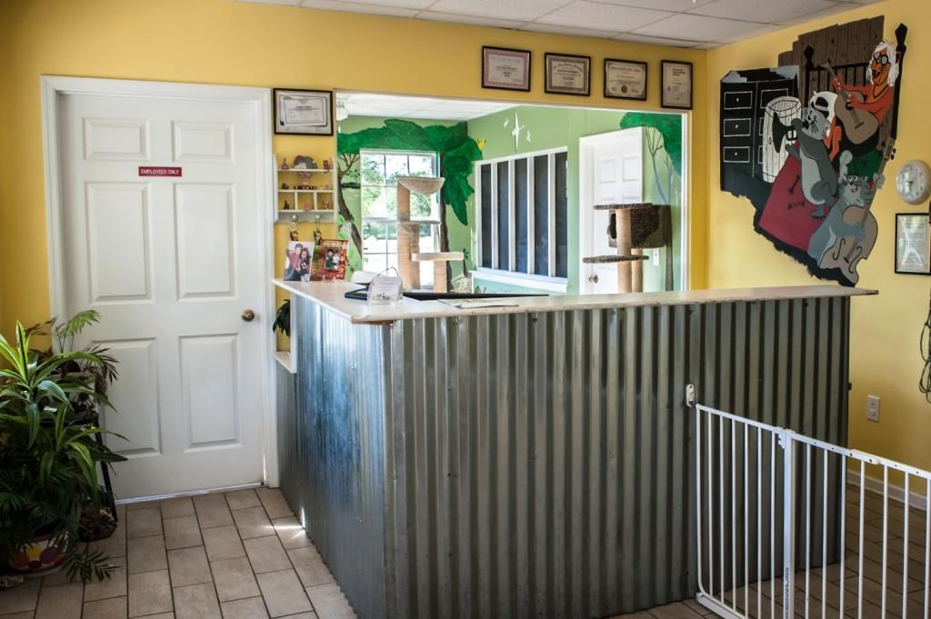 Four Paws Pet Resort – A vacation for them, peace of mind for you