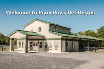 Four Paws Pet Resort – A vacation for them, peace of mind for you